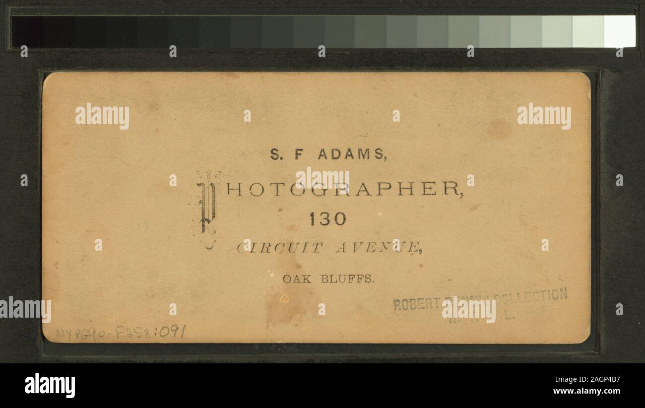 People attending a temperance meeting by S.F. Adams.; People attending ...