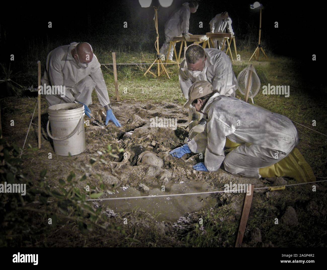 Body farm decomposition hi-res stock photography and images - Alamy