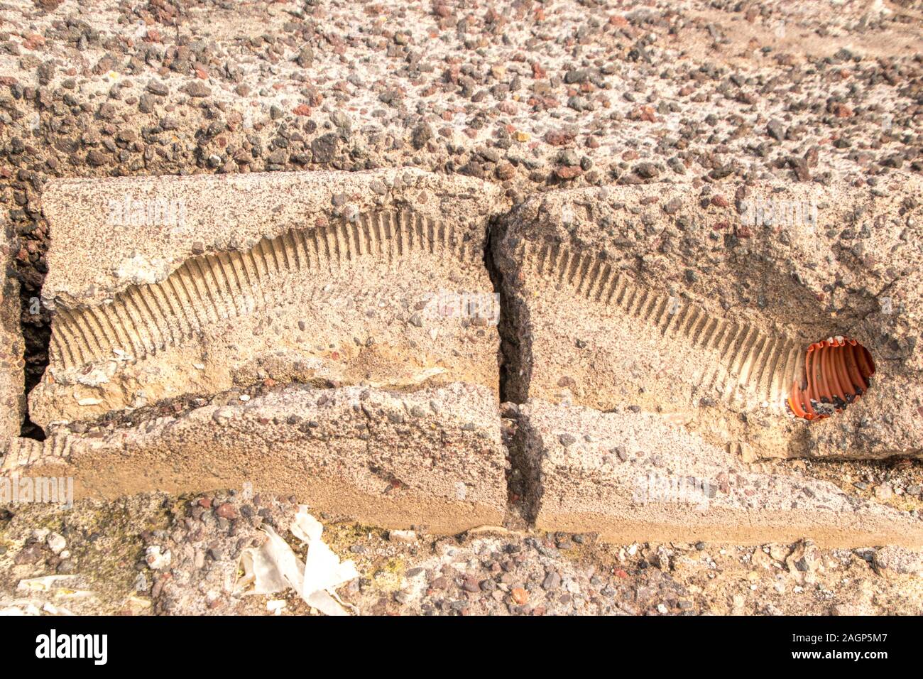 A fossil cross section of a pipe that was laid through concrete Stock ...