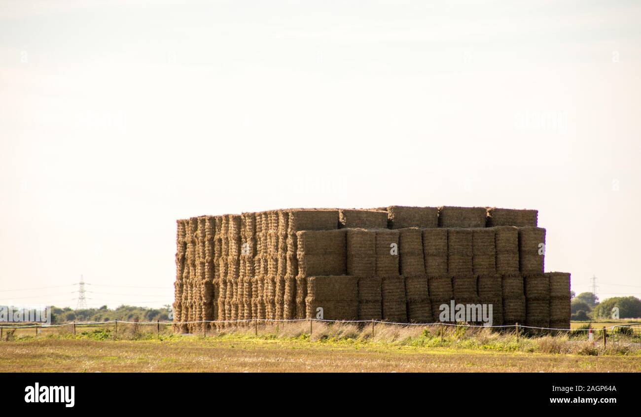 Large square hay bale hi-res stock photography and images - Alamy