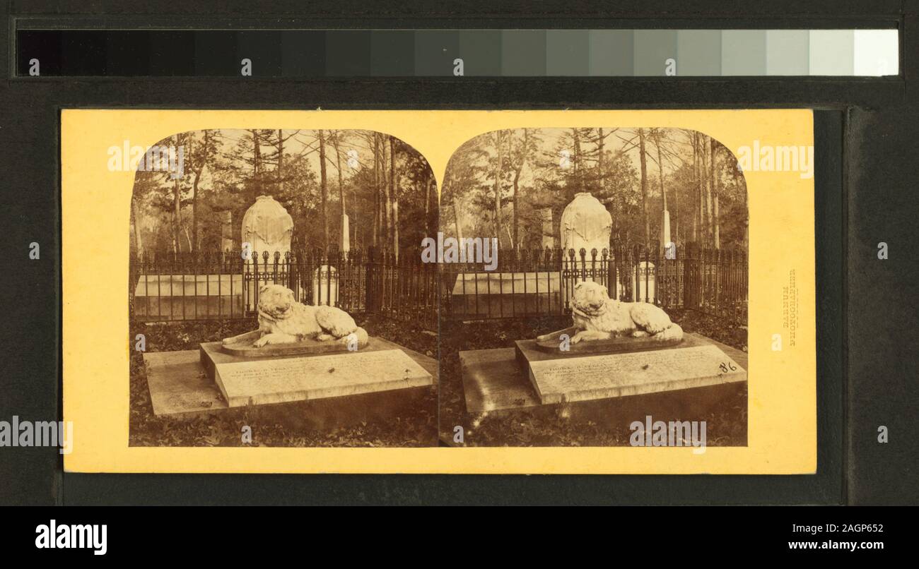 Perkins dog, Mt Auburn Perkins dog, Mt. Auburn.; Perkins dog, Mt ...