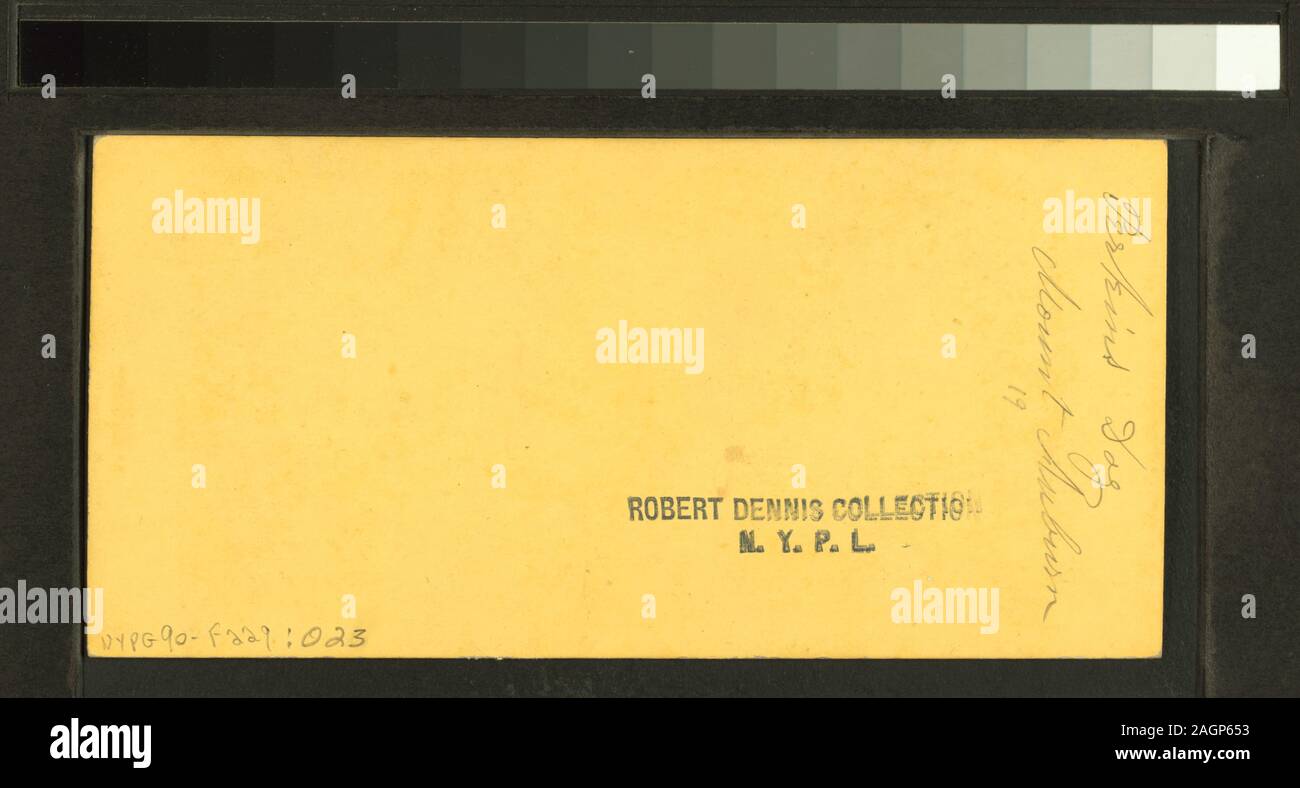 Perkins dog hi-res stock photography and images - Alamy