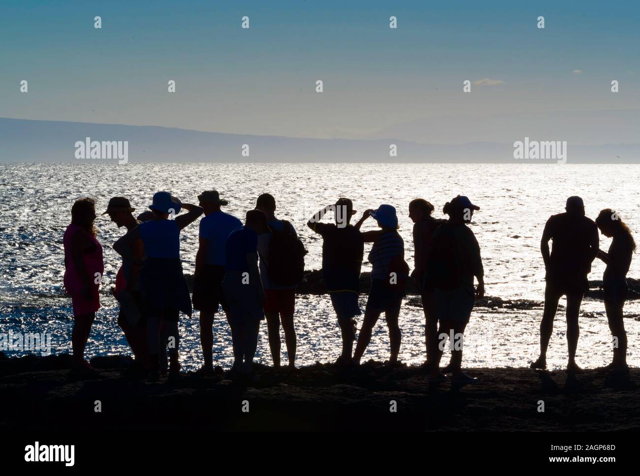 Egas galapagos hi-res stock photography and images - Alamy