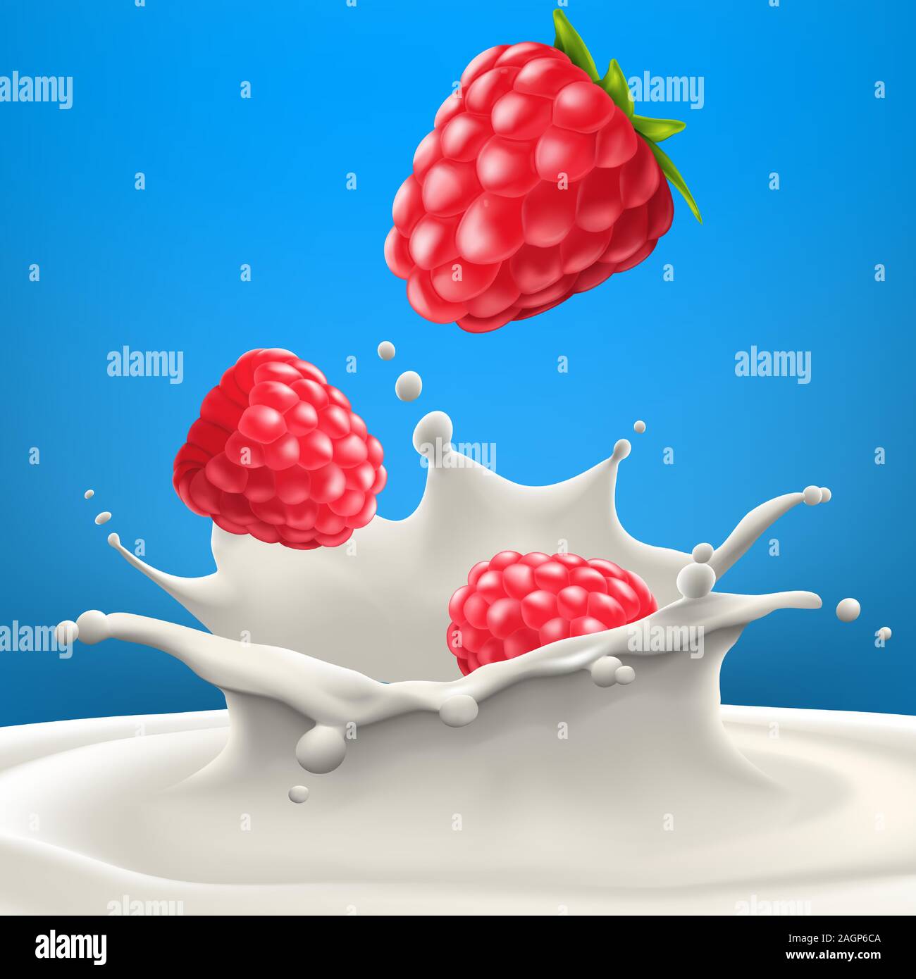 Raspberry High quality vector realistic illustration Stock Vector Image ...