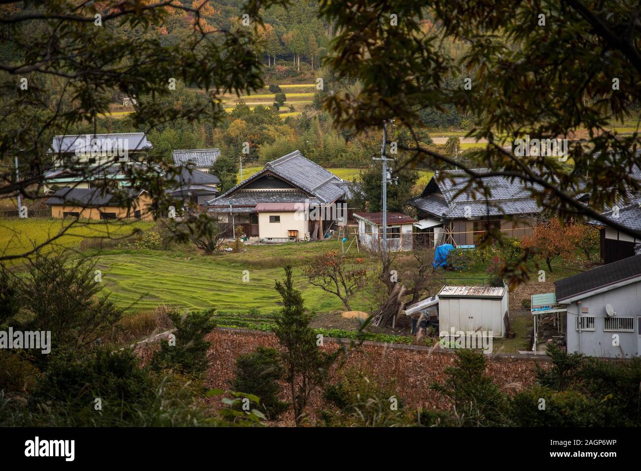 Small Japanese mountain village through the trees Stock Photo - Alamy
