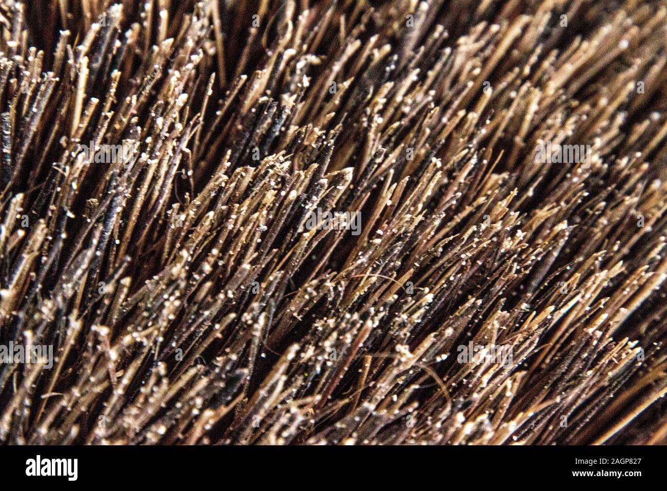 Garden brush hi-res stock photography and images - Alamy