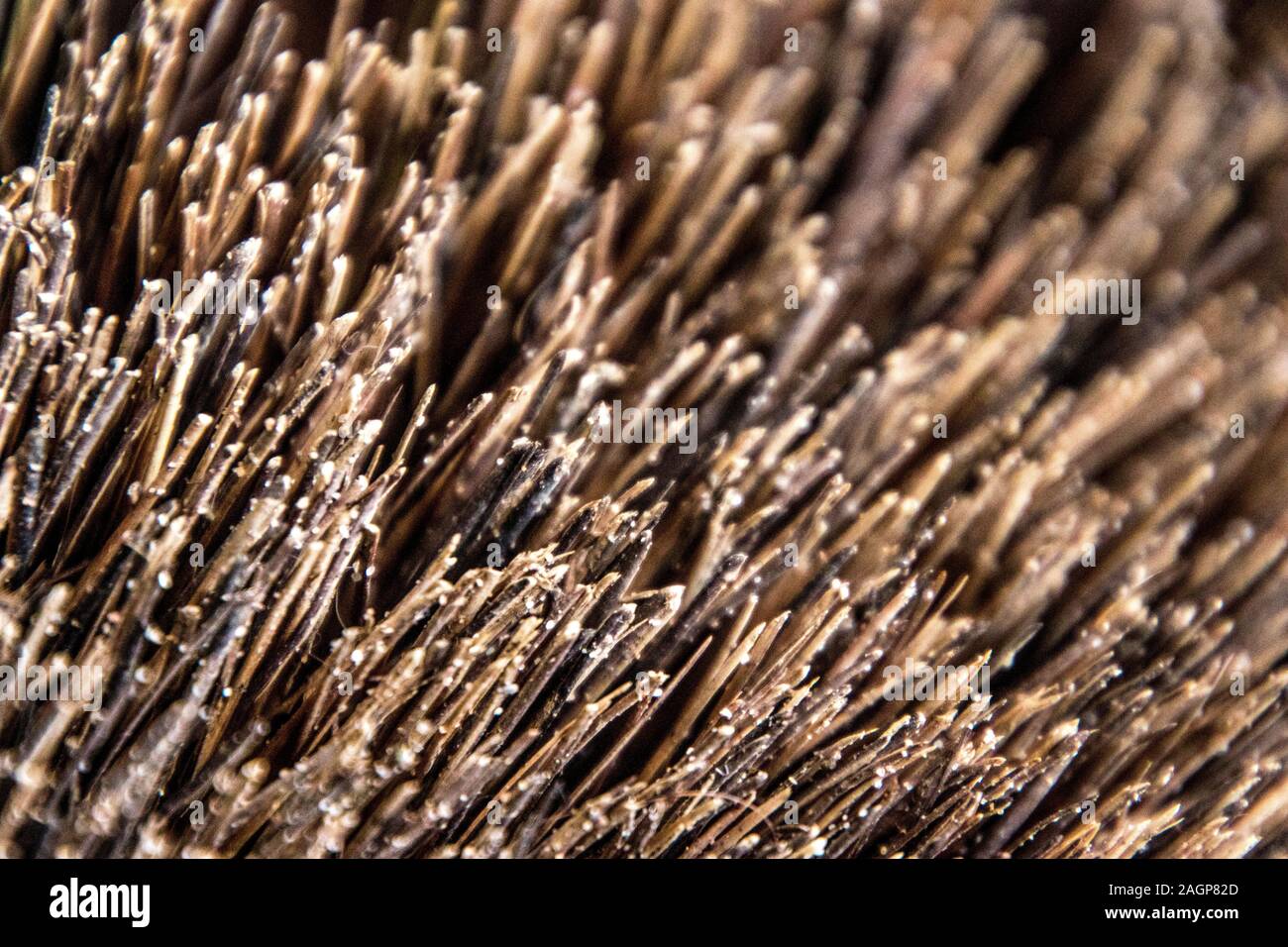 Garden brush hi-res stock photography and images - Alamy