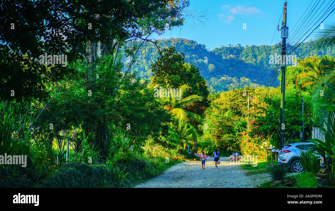 Green scenery of Costa Rica with lush vegetation and high mountains ...