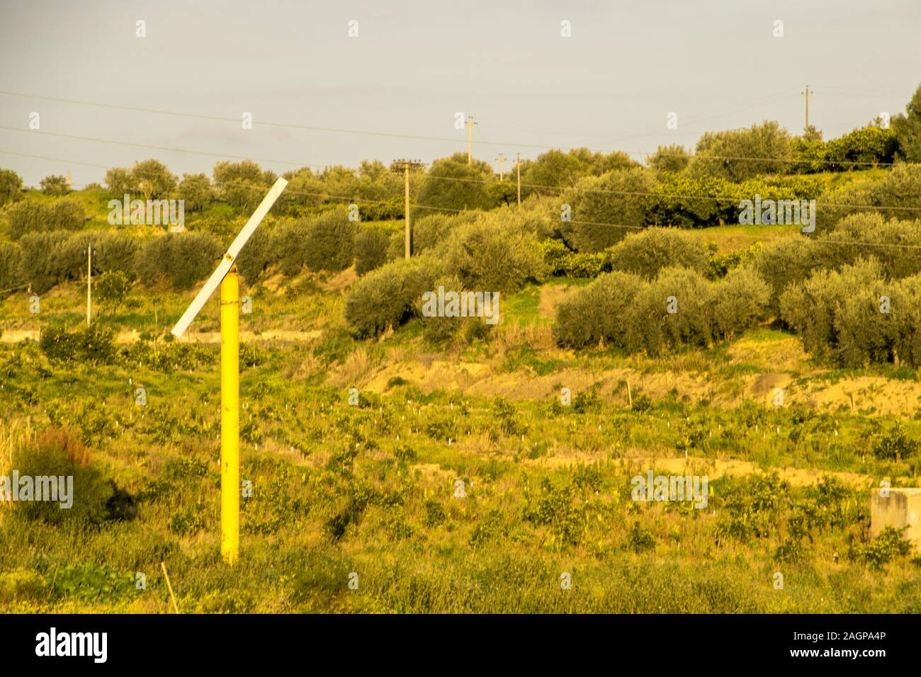 A view of a typical farmer's field Stock Photo - Alamy