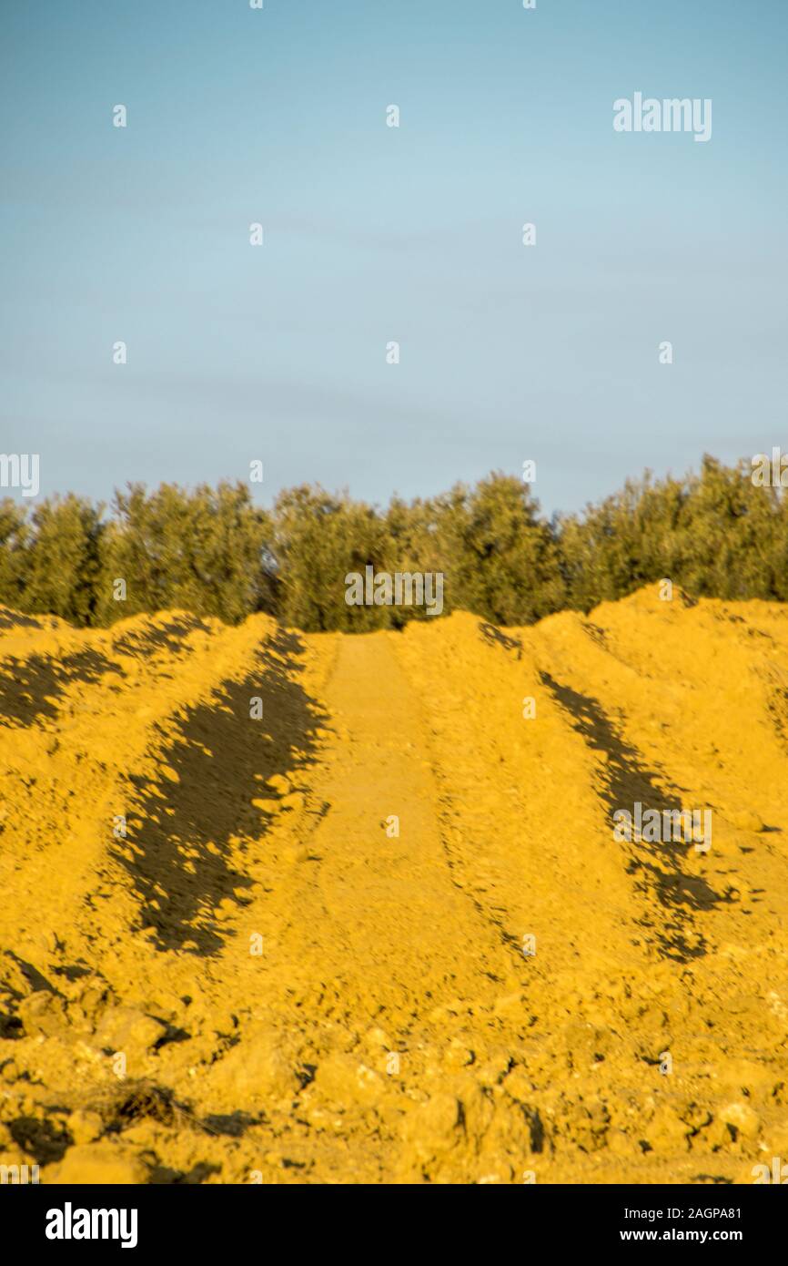 A view of a typical farmer's field Stock Photo - Alamy