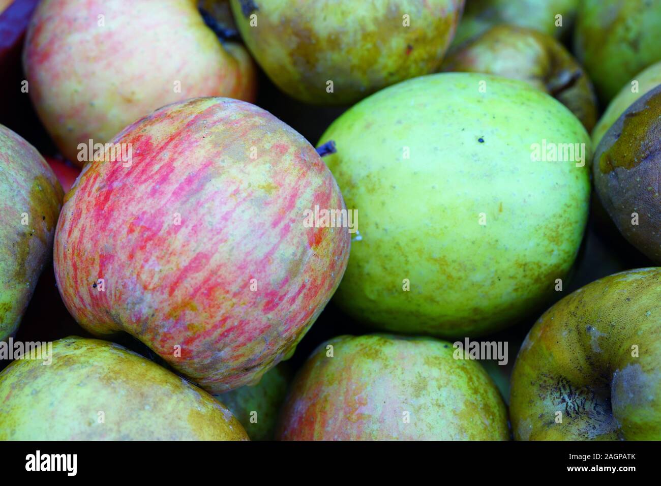 Boskoop apples hi-res stock photography and images - Alamy