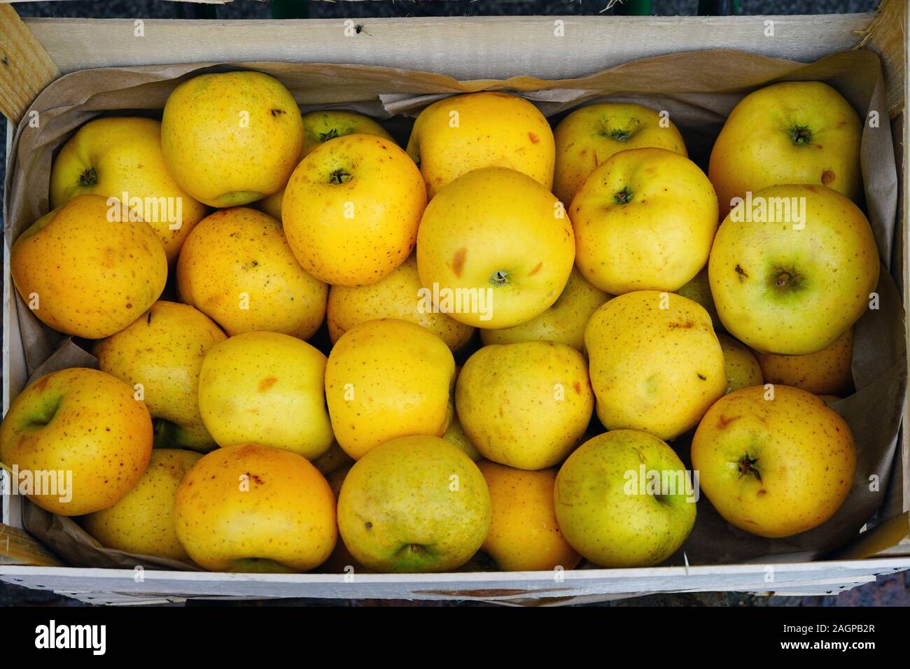 Chantecler apple hi-res stock photography and images - Alamy
