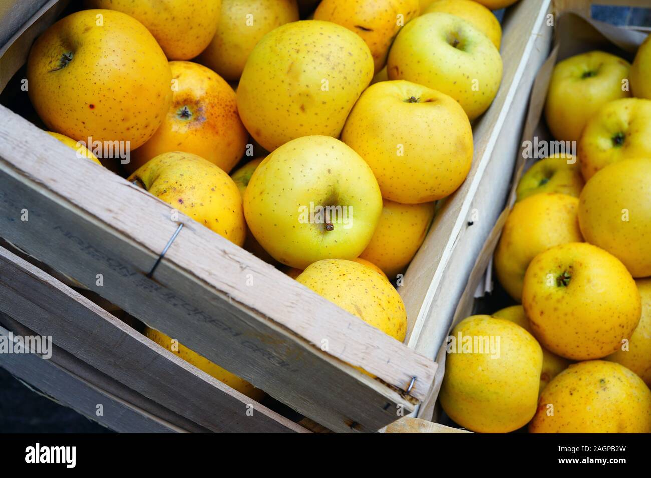 Chantecler apple hi-res stock photography and images - Alamy