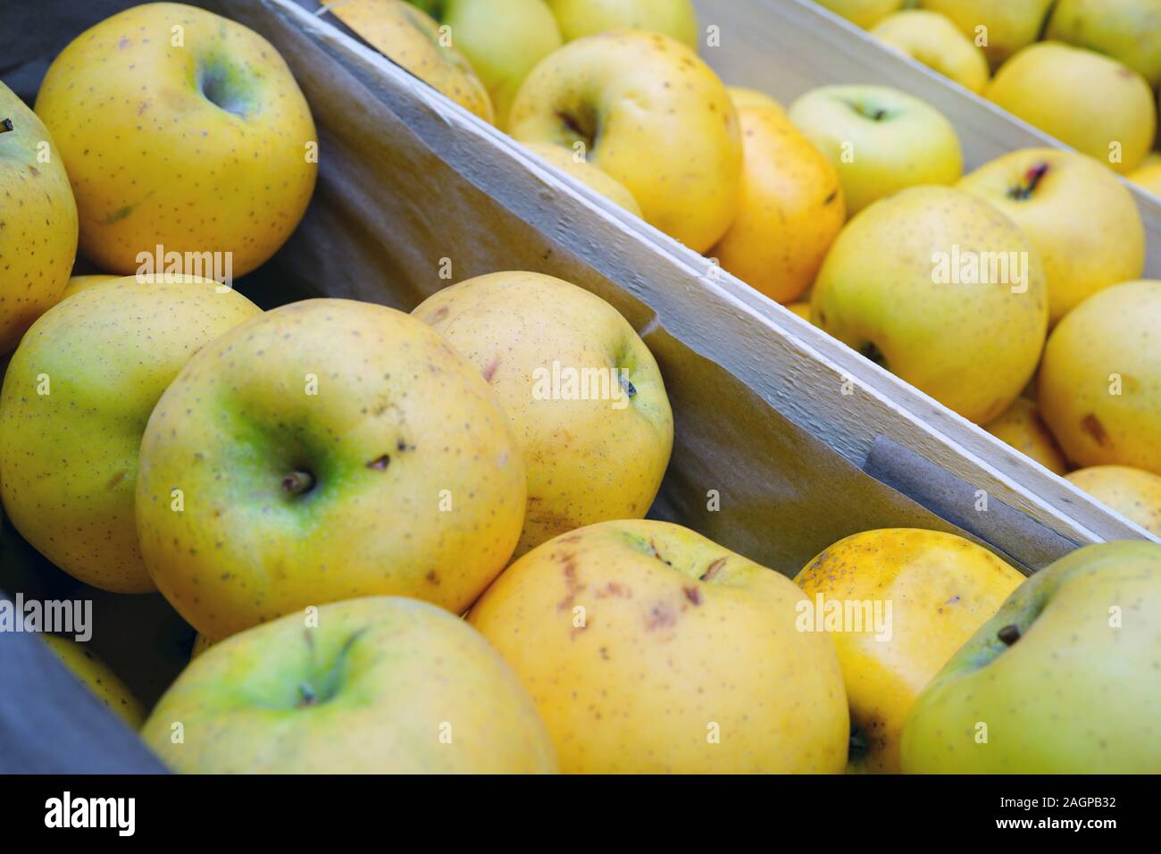Chantecler apple hi-res stock photography and images - Alamy