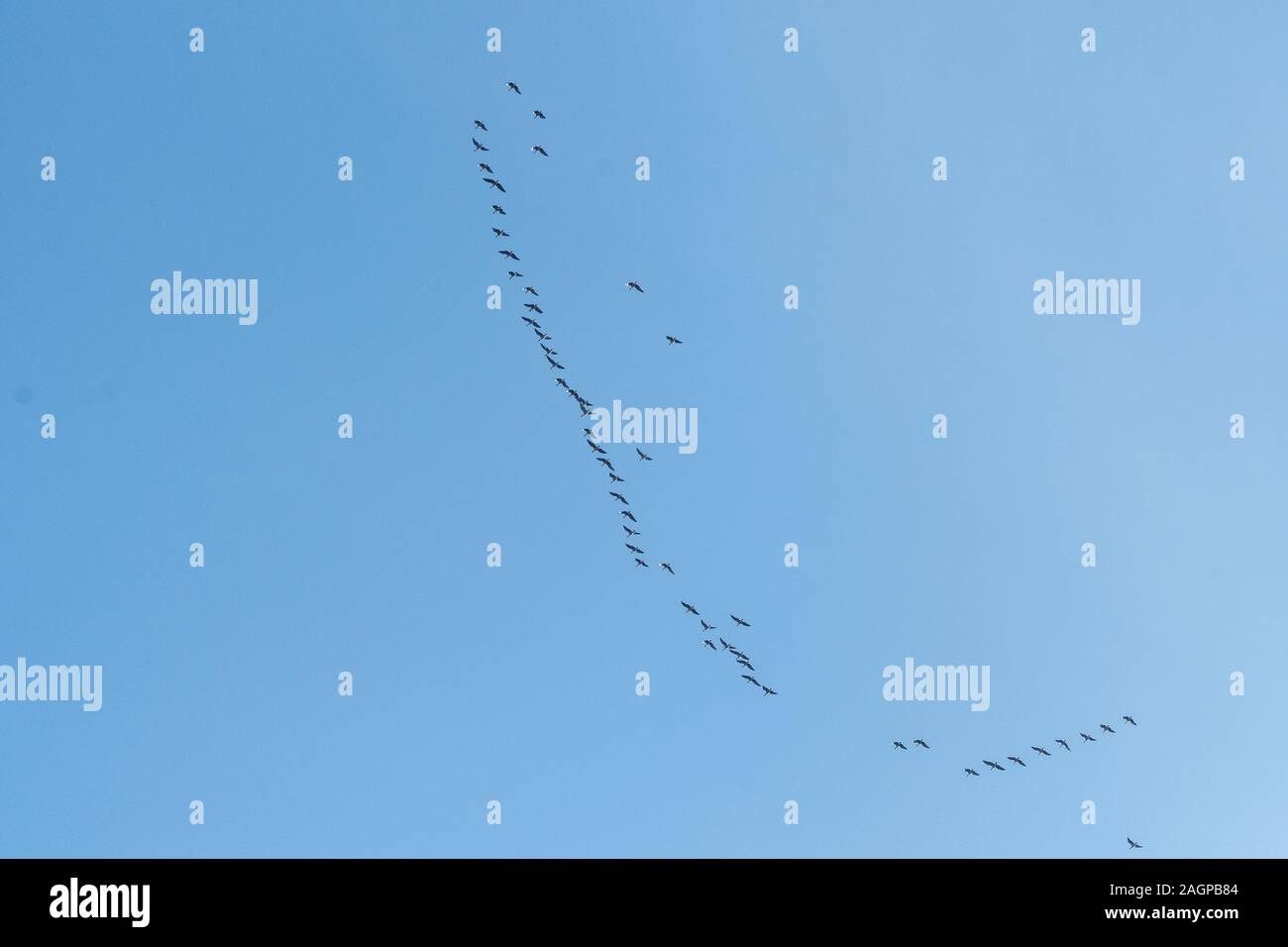 Mersehead rspb reserve hi-res stock photography and images - Alamy