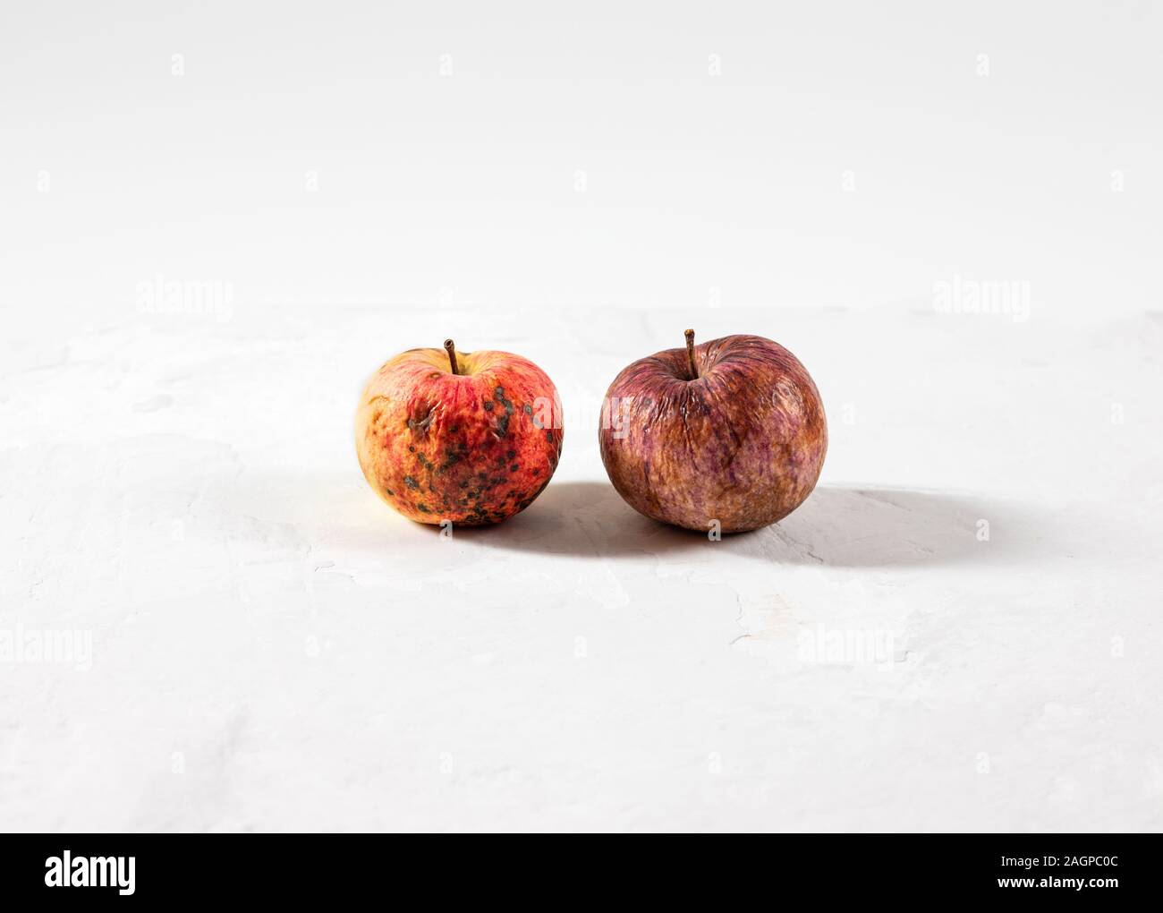 Trendy ugly food concept. Two rotten apples on a white background. The ...