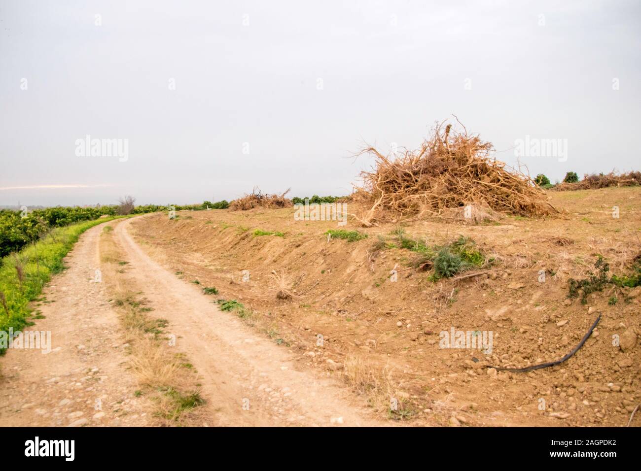 A view of a typical farmer's field Stock Photo - Alamy