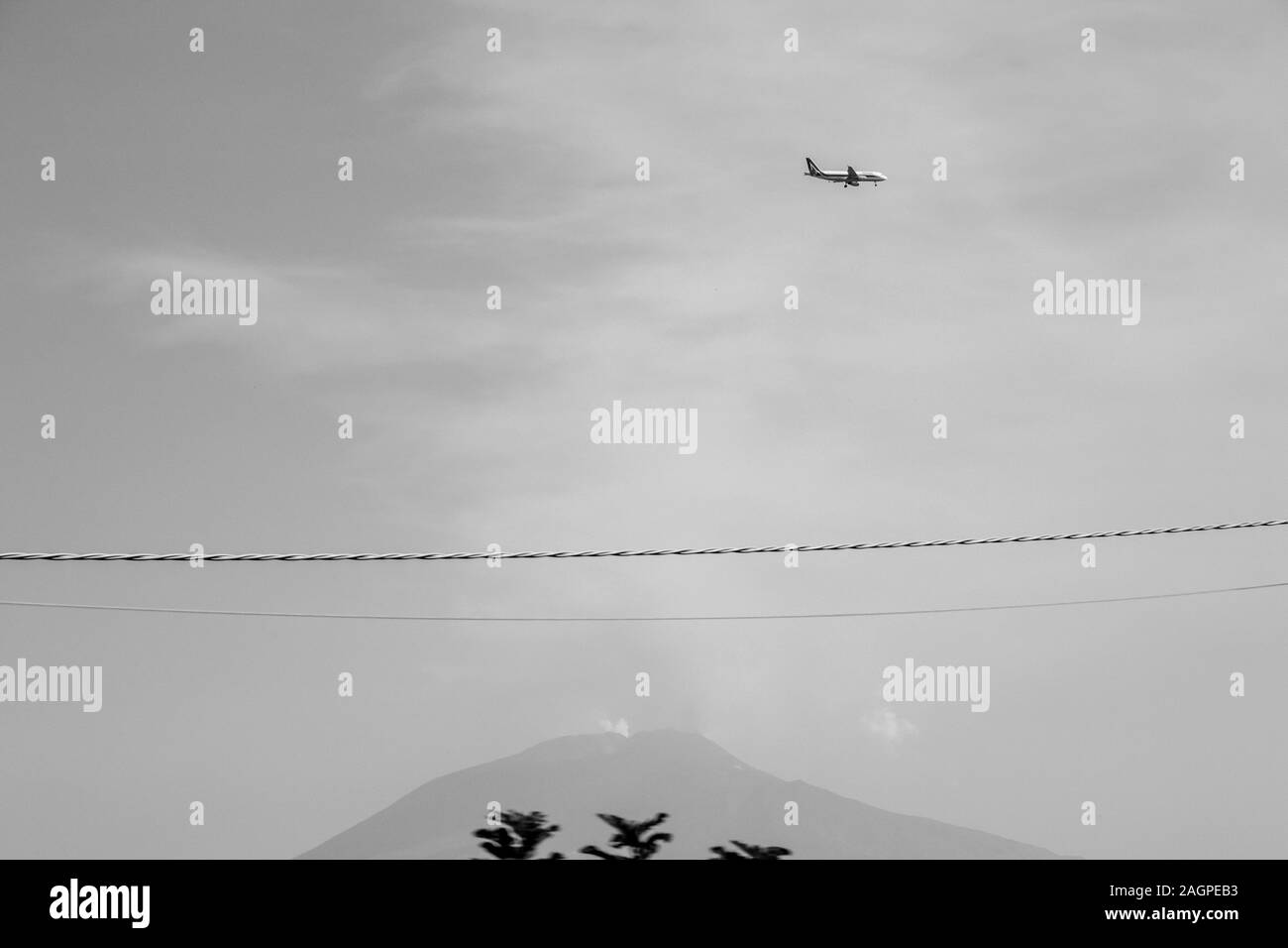 Pigeon flypast hi-res stock photography and images - Alamy
