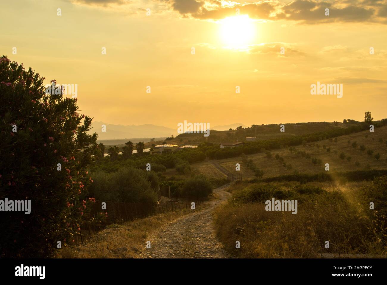 Sicilian outback sunset hi-res stock photography and images - Alamy