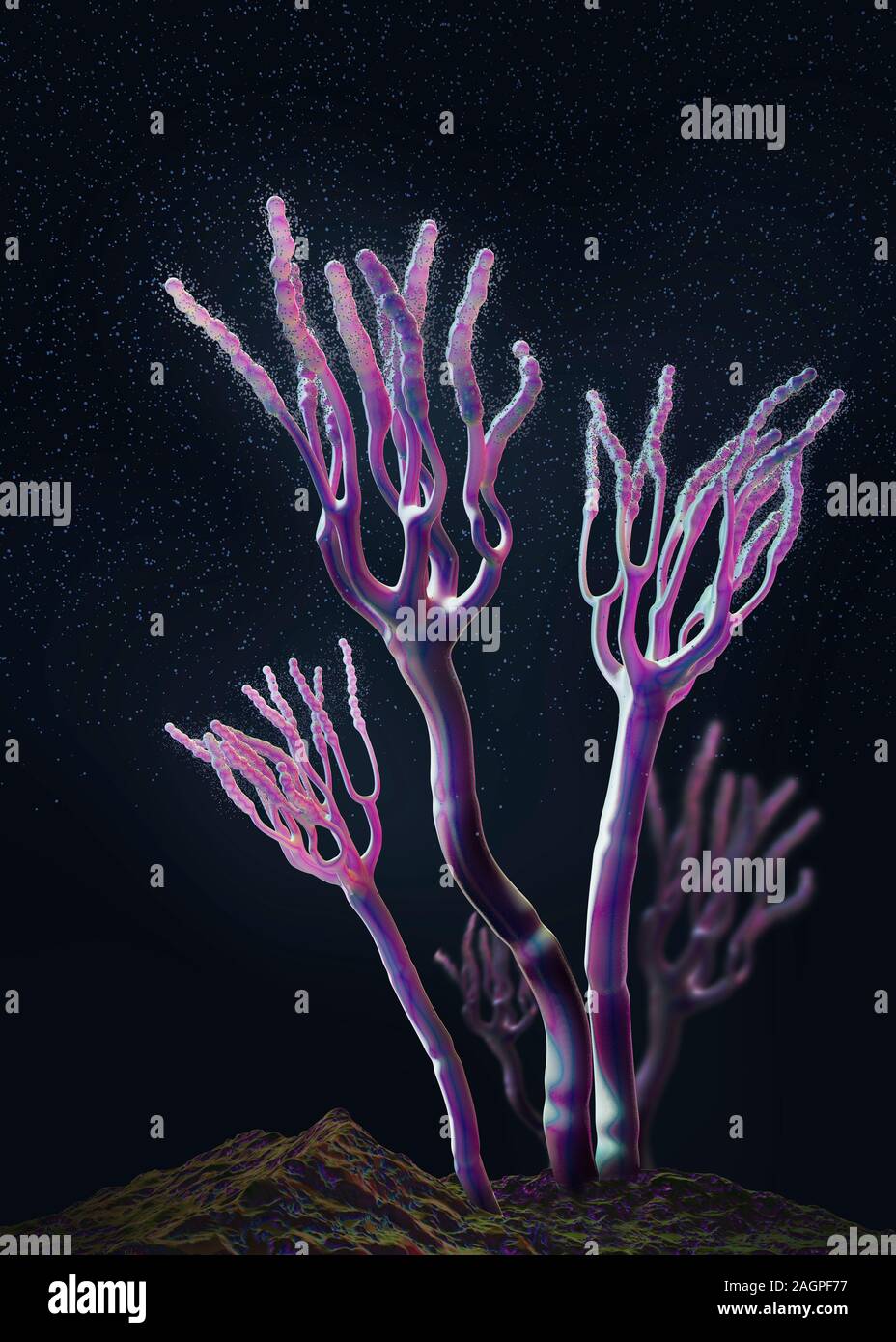 Fungus releasing spores, illustration Stock Photo - Alamy
