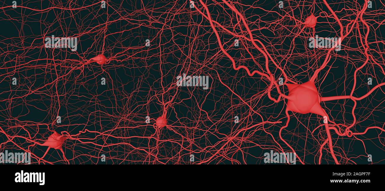 Neural network, illustration Stock Photo - Alamy