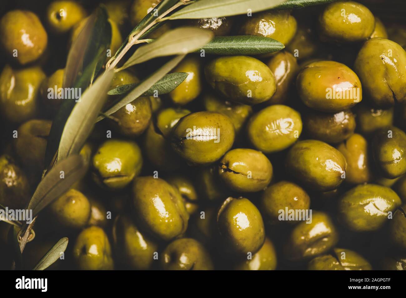 Flat-lay of pickled green Mediterranean olives and olive tree branch ...