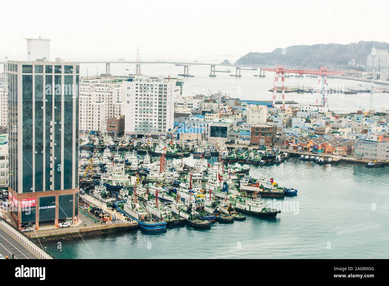 Busan city, South Korea - November 2019 Aerial view of Busan cityscape ...