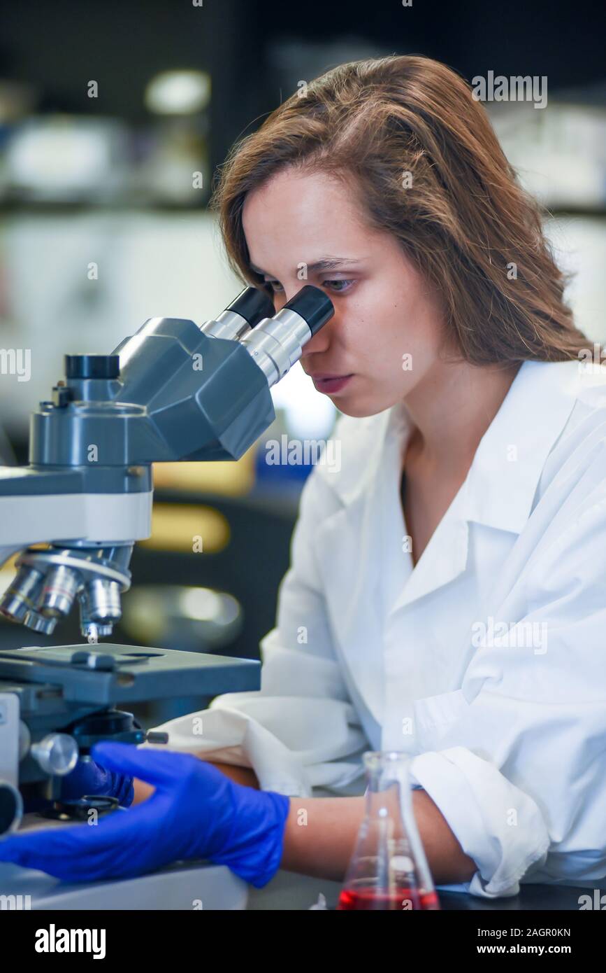 Doctor / pathologist cum microbiologist working in research laboratory ...