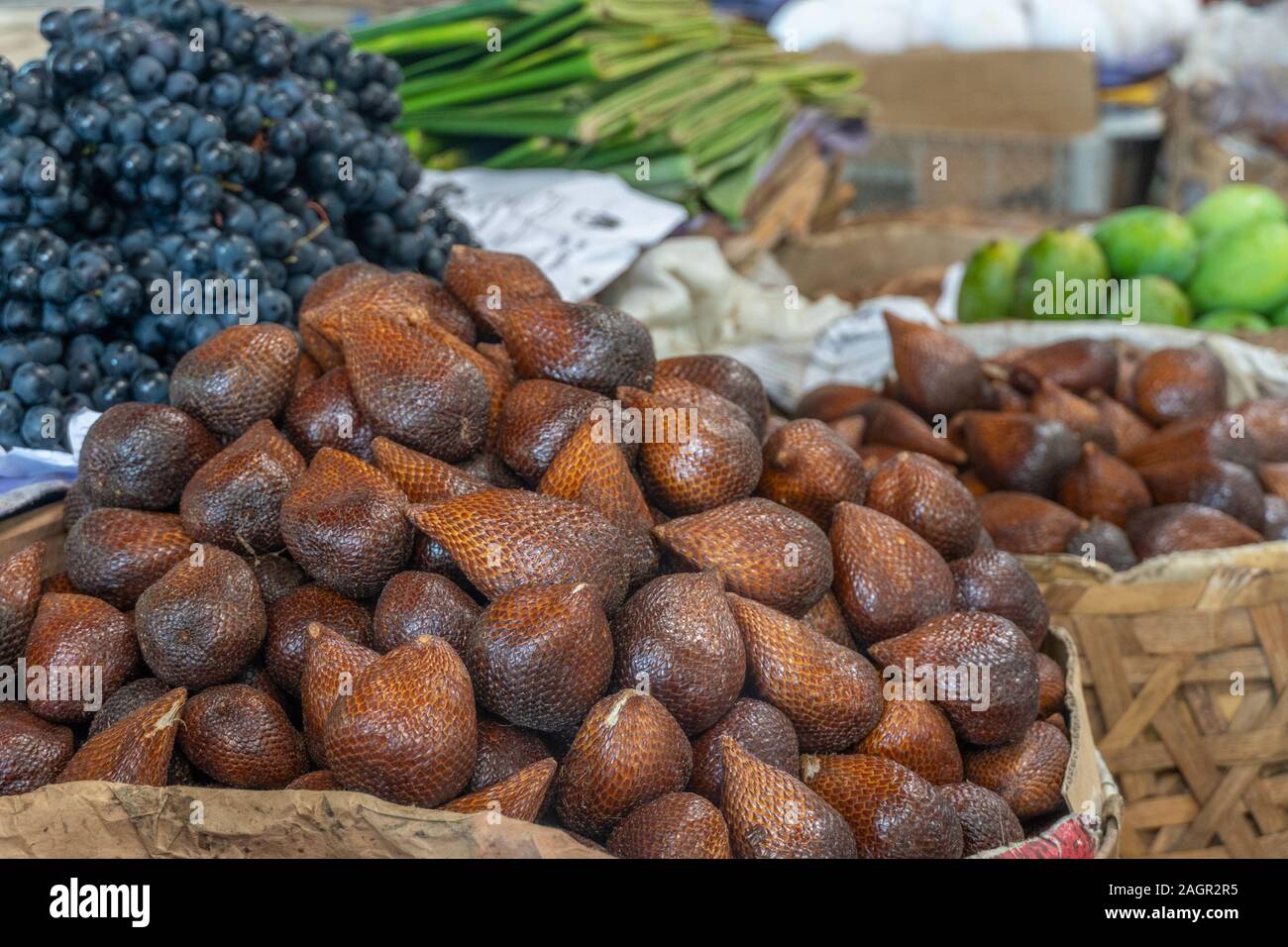 Snakefruit hi-res stock photography and images - Alamy