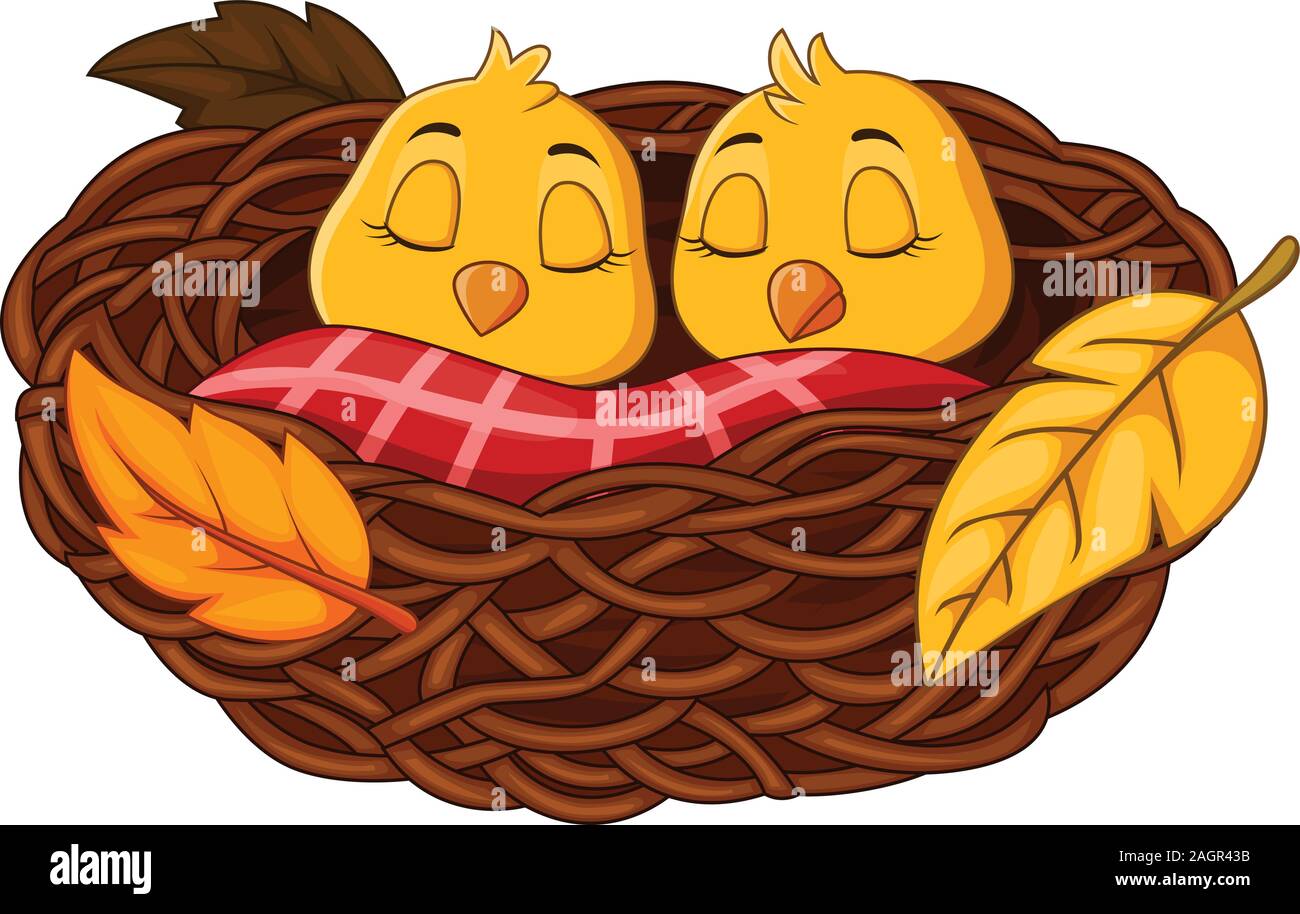 Bird sleeping in the wild Stock Vector Images - Alamy