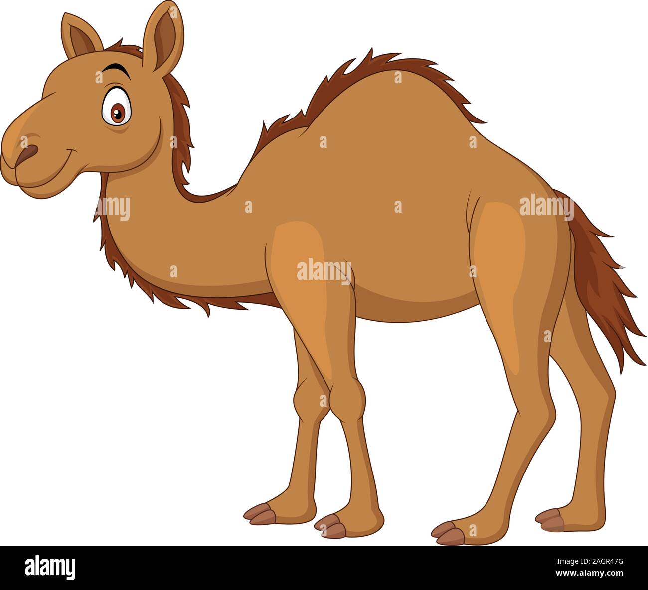 Cartoon camel isolated on white background Stock Vector Image & Art - Alamy