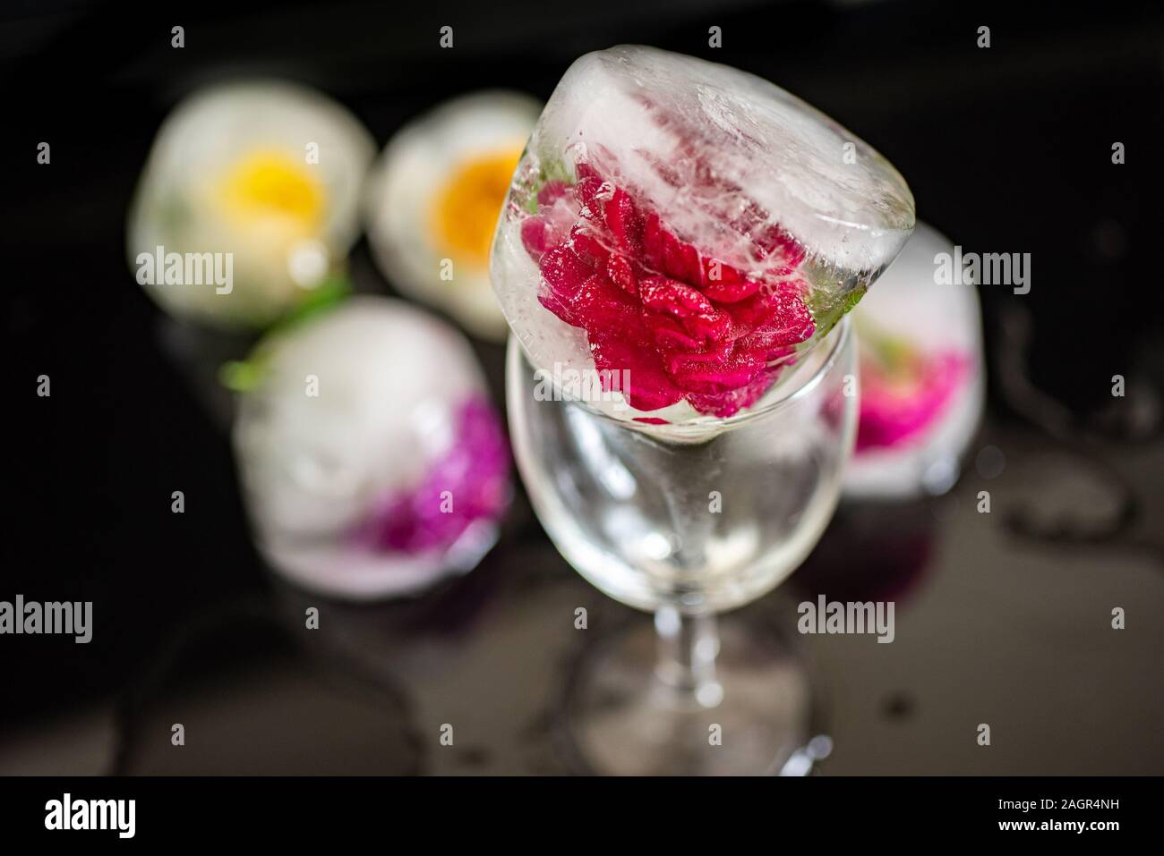 rose flower in ice Stock Photo - Alamy