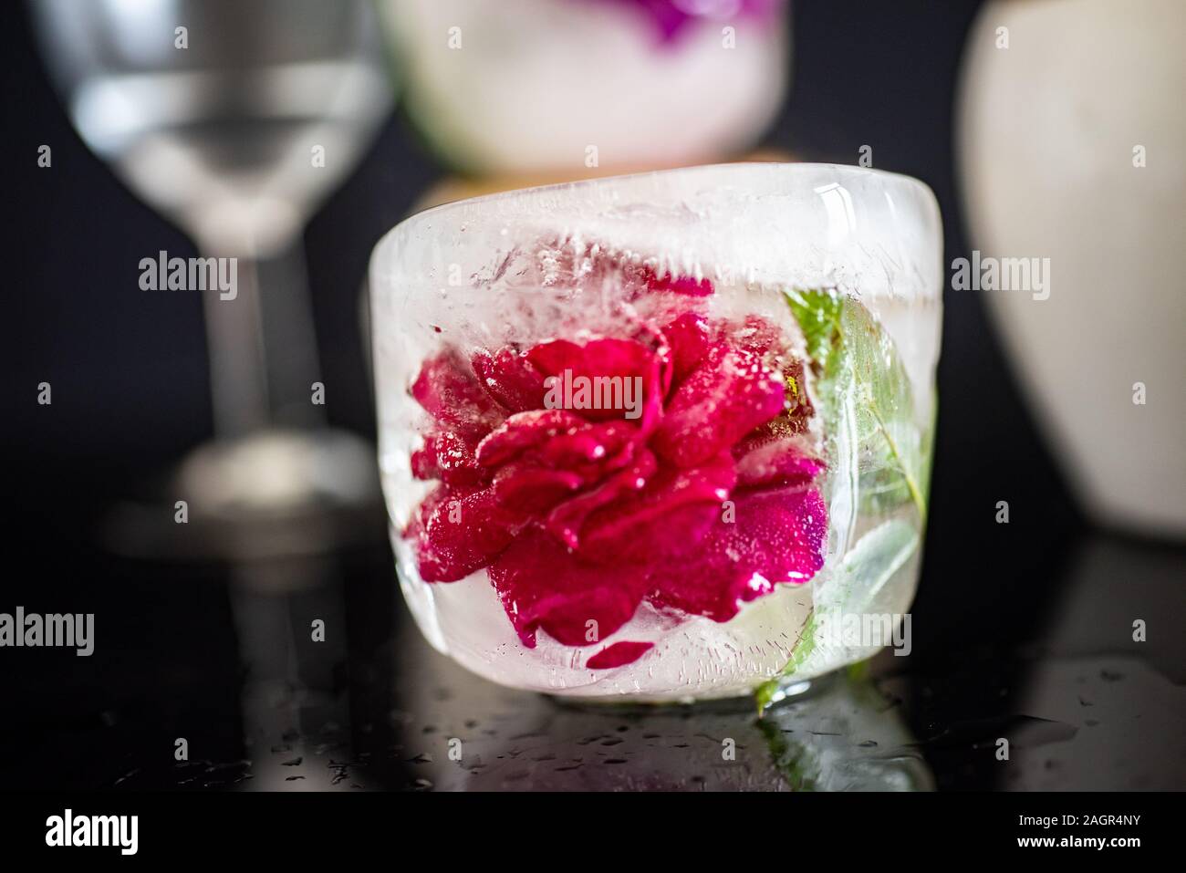 rose flower in ice Stock Photo - Alamy