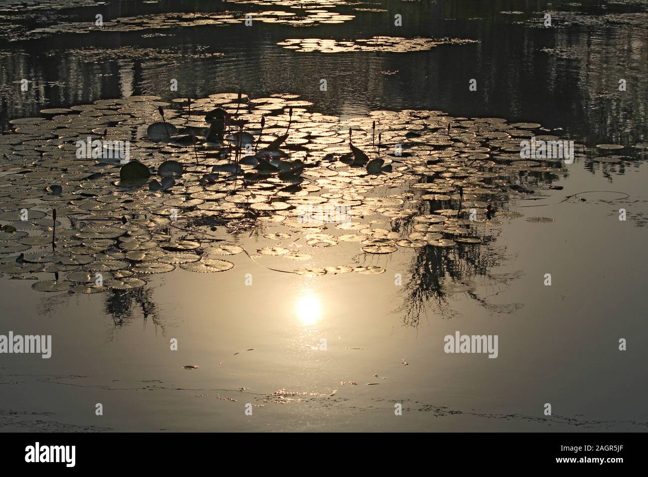 Reflection the sun hi-res stock photography and images - Alamy