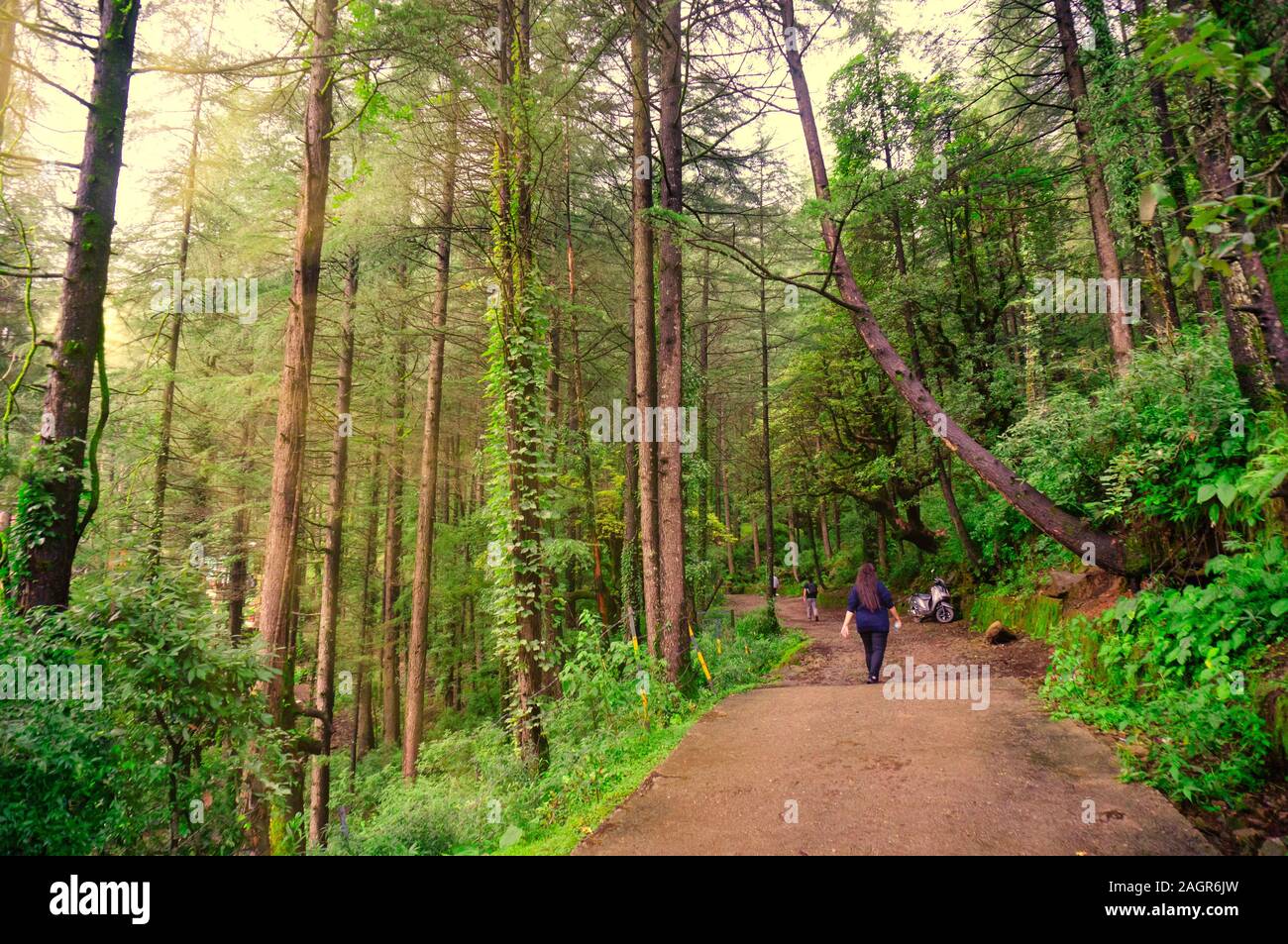 Young indian woman walking trekking on a path on the mountain ranges of ...