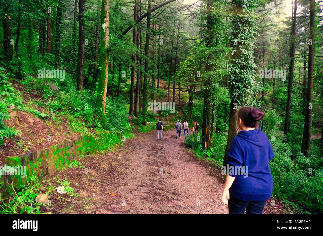 Young indian woman walking trekking on a path on the mountain ranges of ...