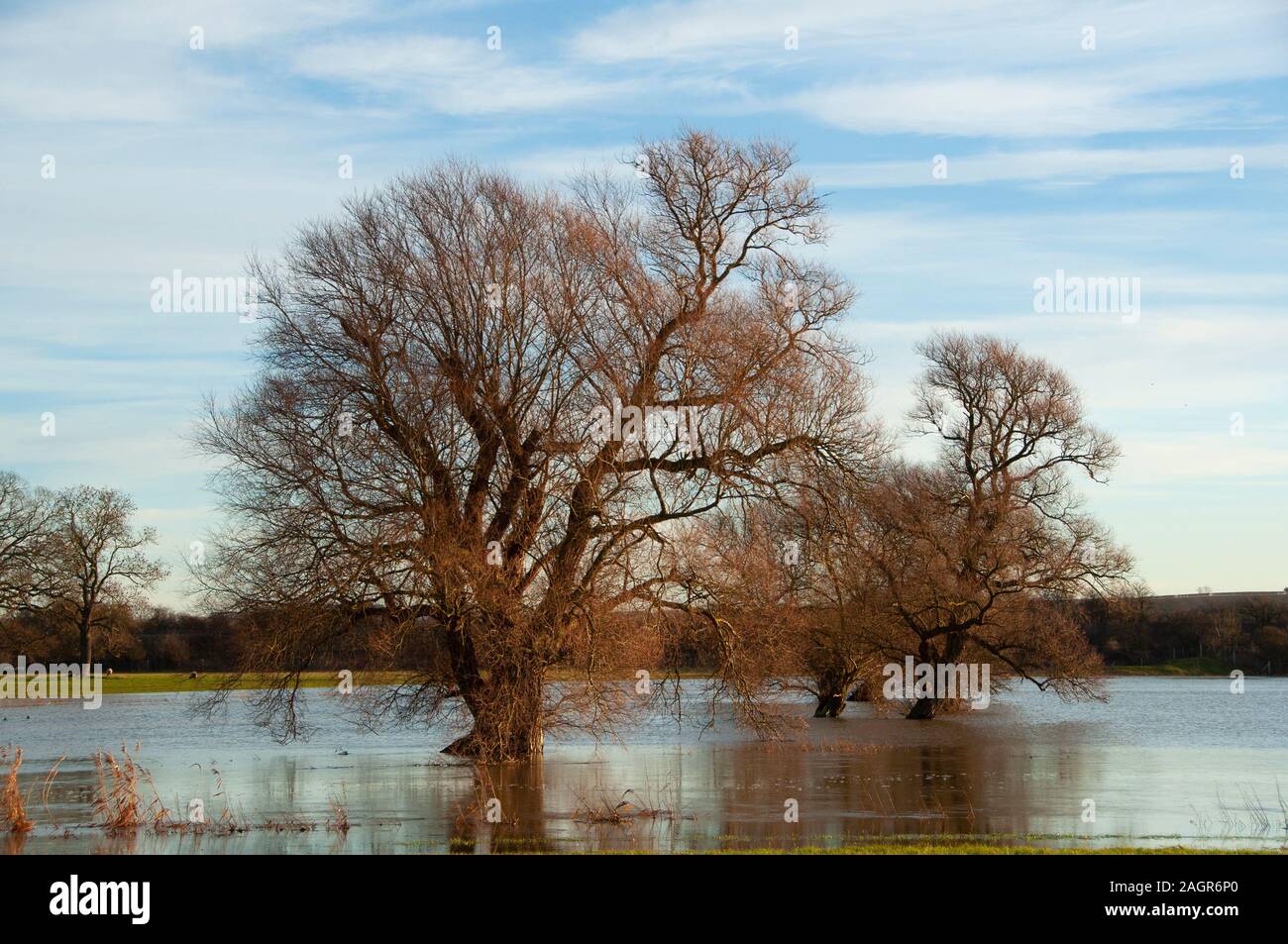 Radwell hi-res stock photography and images - Alamy