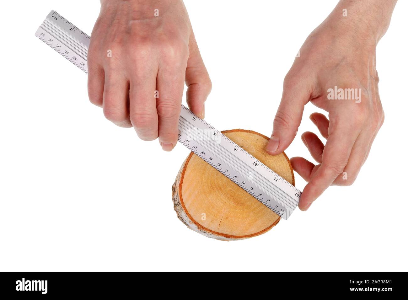 Measurement of the diameter of the tree hi-res stock photography and ...