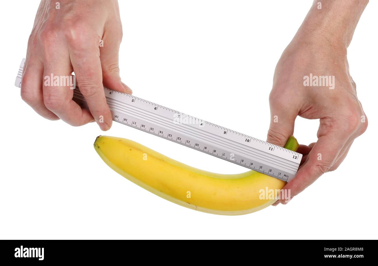 Farmer checks the size and quality of ripe yellow banana fruit using a ...