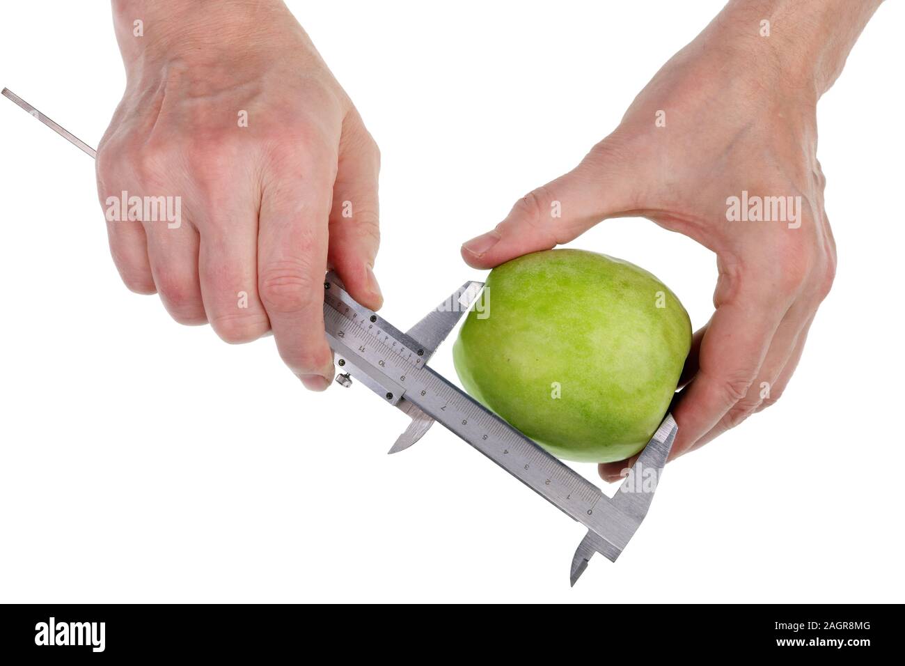 Farmer checks the size and quality of ripe green apple fruit using a ...