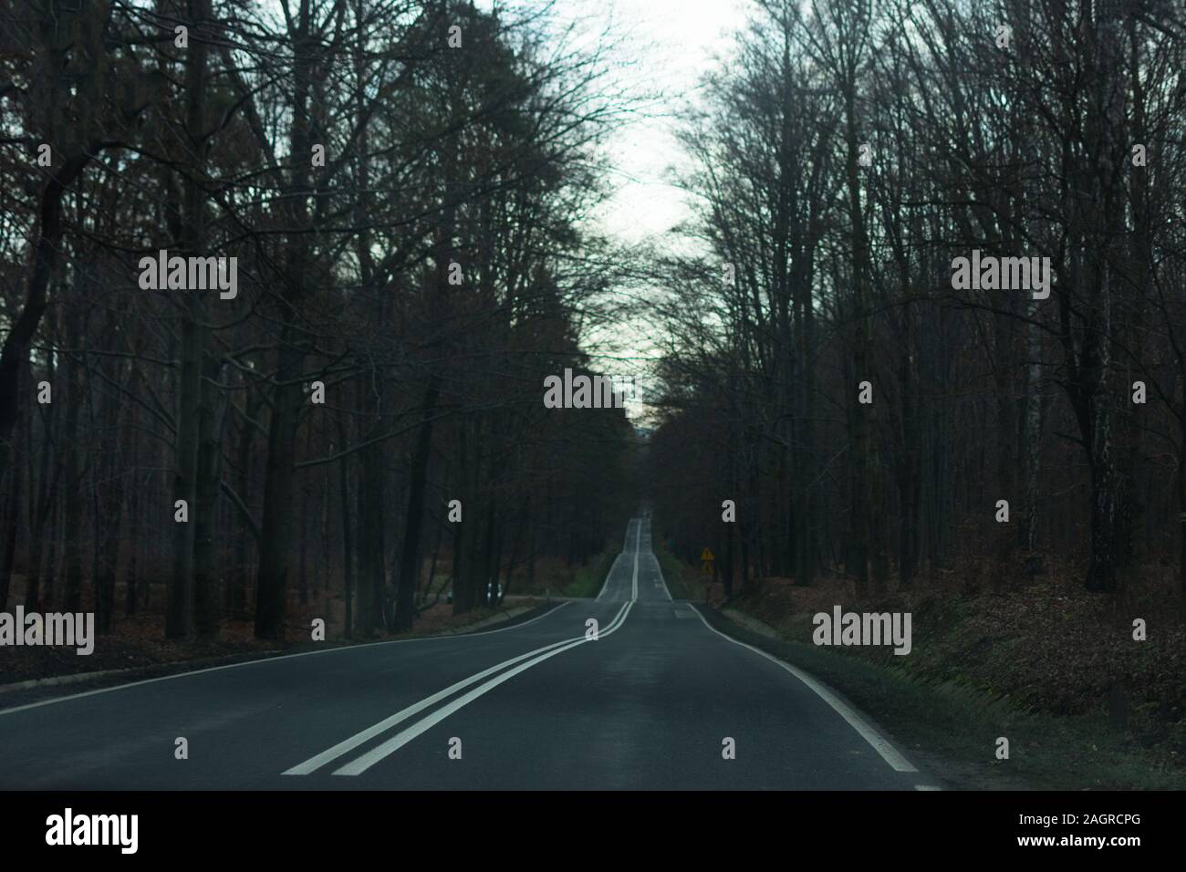 Dark forest road night hi-res stock photography and images - Alamy