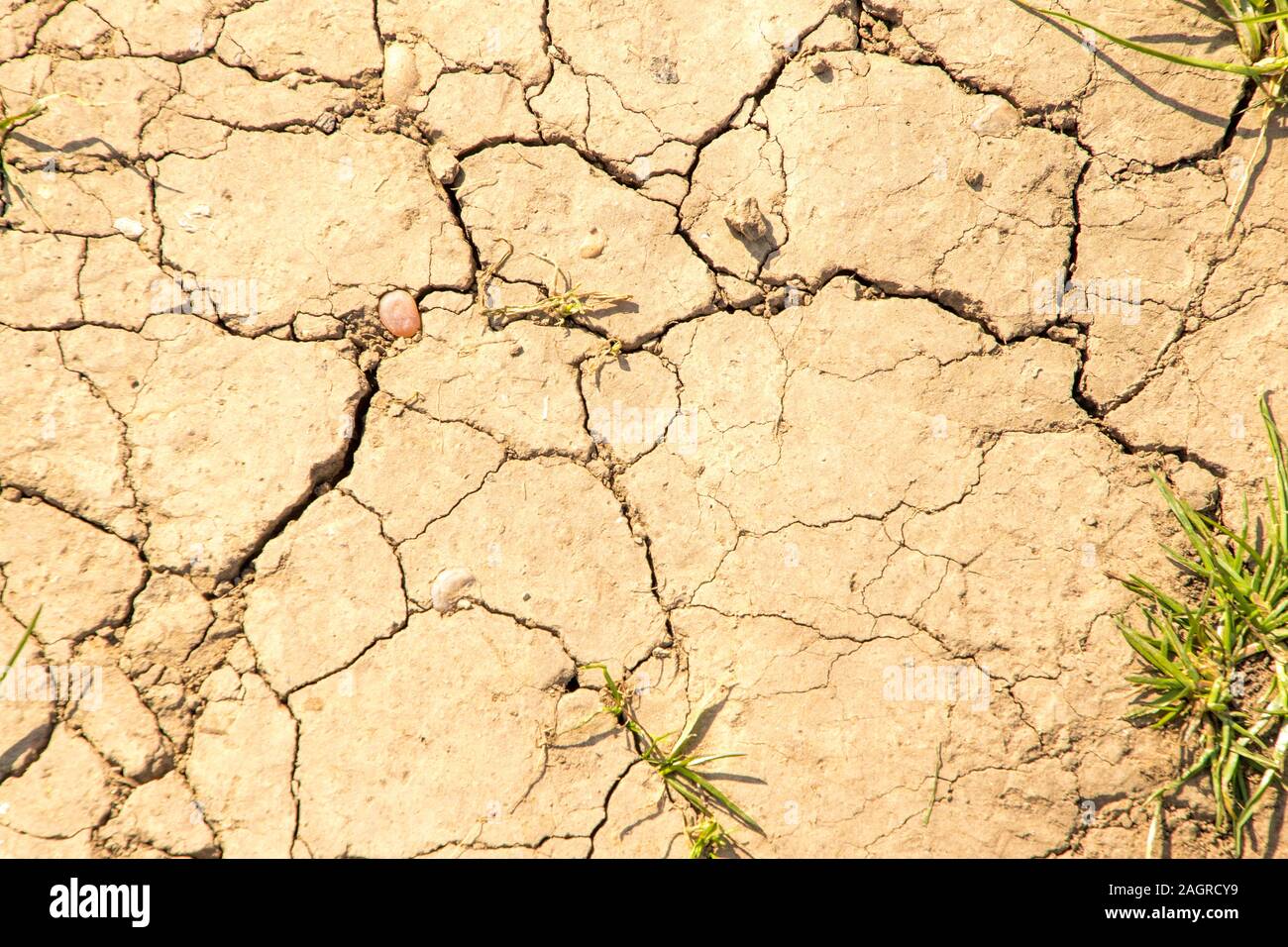 Rain starved hi-res stock photography and images - Alamy