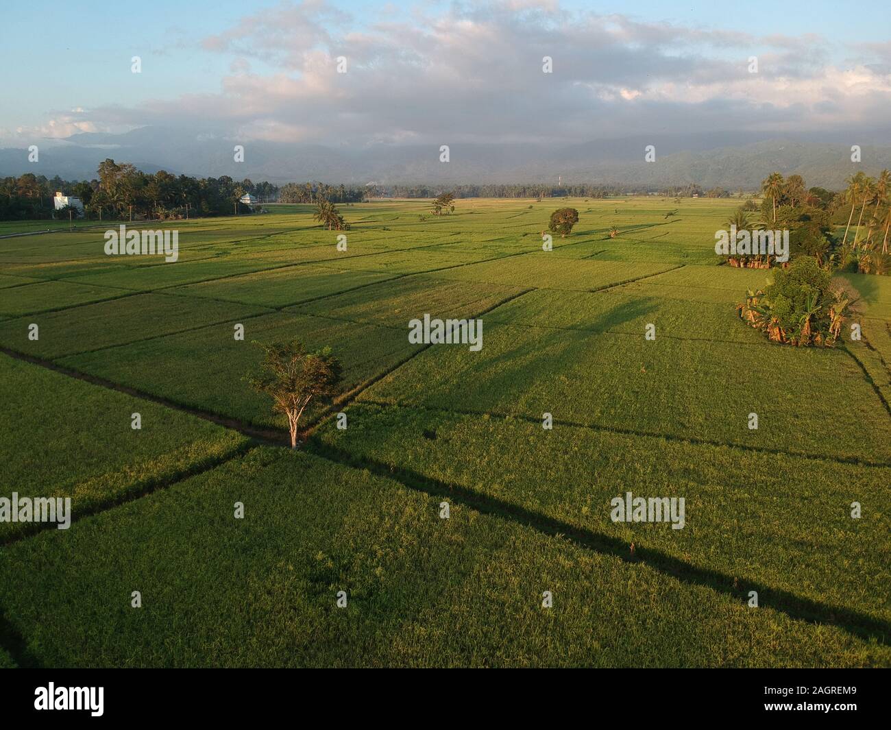 Tolitoli village hi-res stock photography and images - Alamy