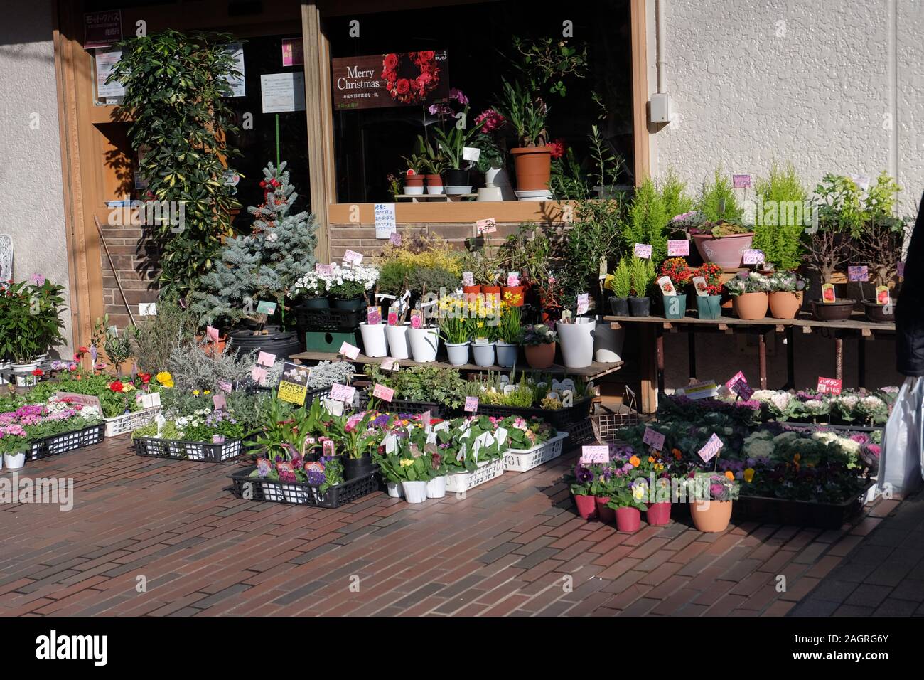 Japan Flower Shop High Resolution Stock Photography and Images - Alamy