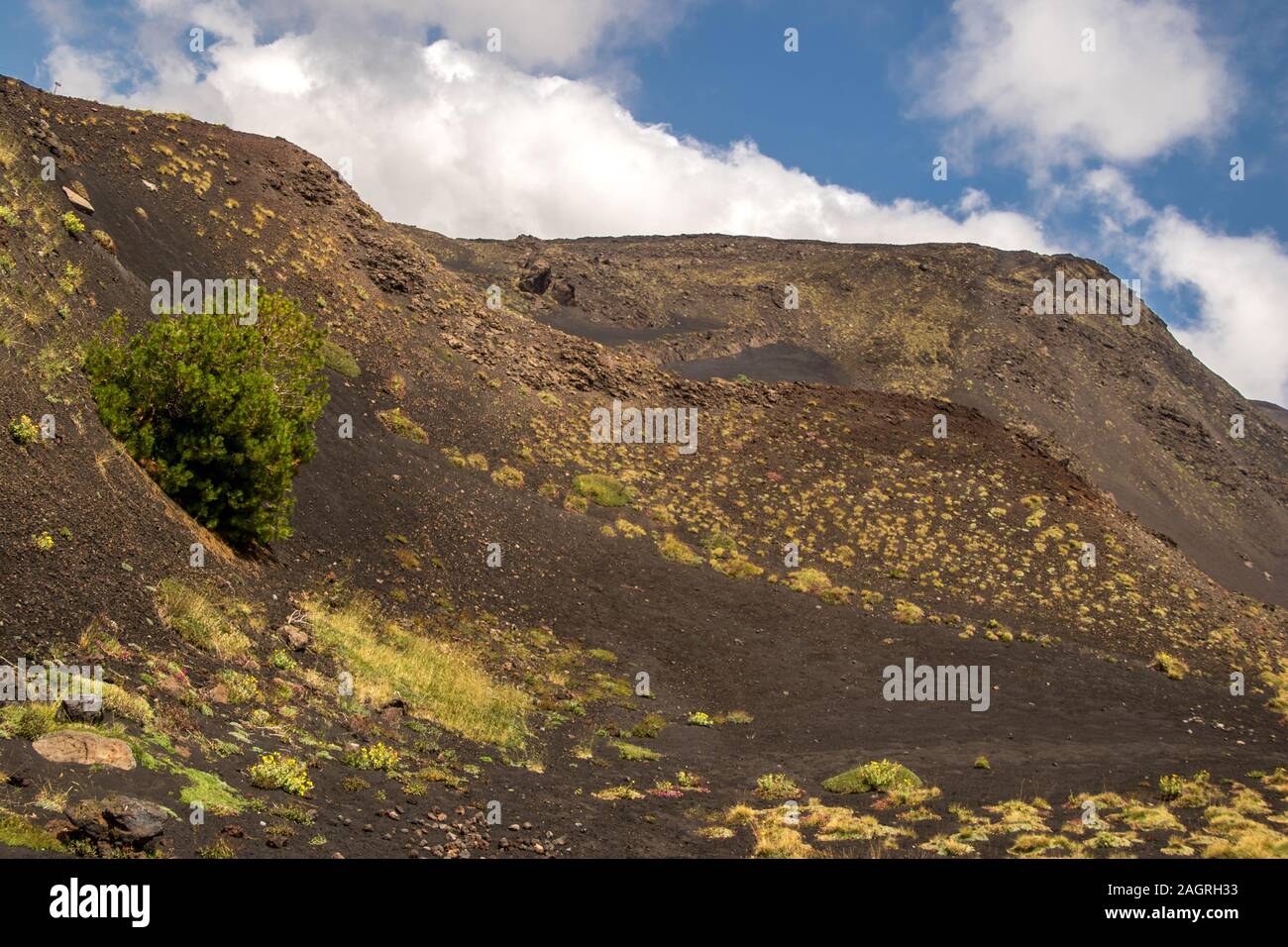 One of the world's most active volcanoes, Mount Etna. It's breathtaking ...