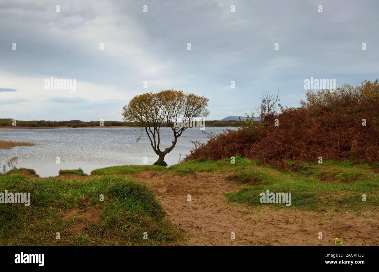 Kenfig hill pond hi-res stock photography and images - Alamy