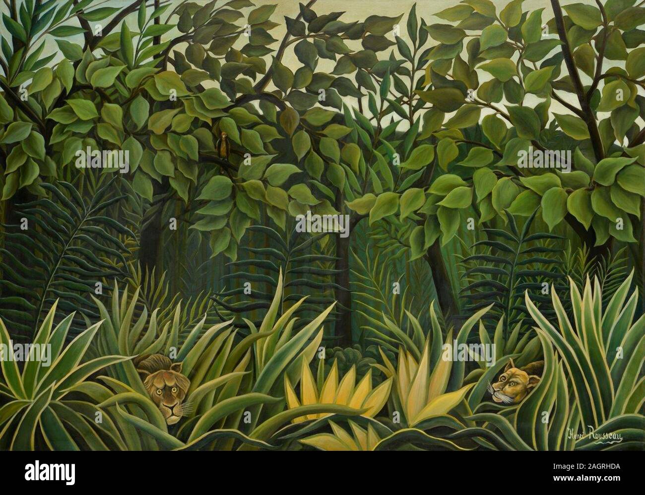 Henri Rousseau Jungle Paintings