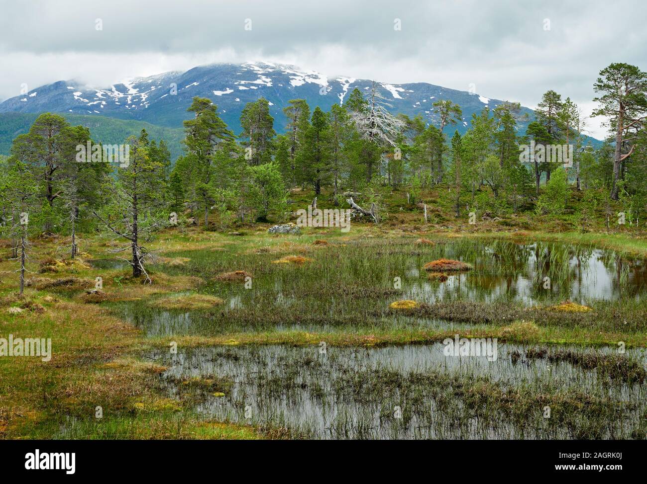 Northern summer landscape with mountains, reflection in a lake at the ...