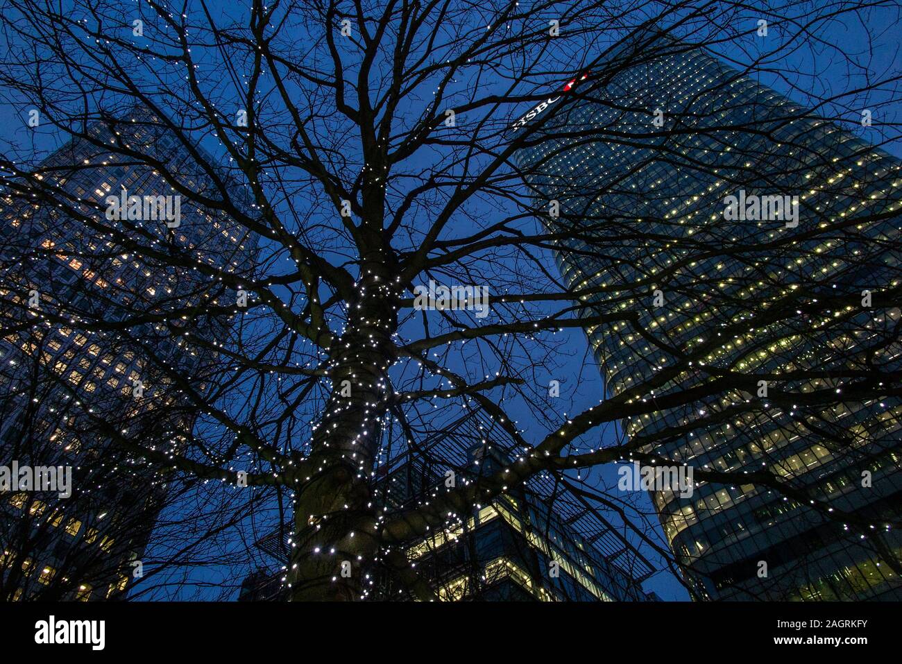 HSBC and Citi headquarters at Christmas at Canary Wharf in the ...