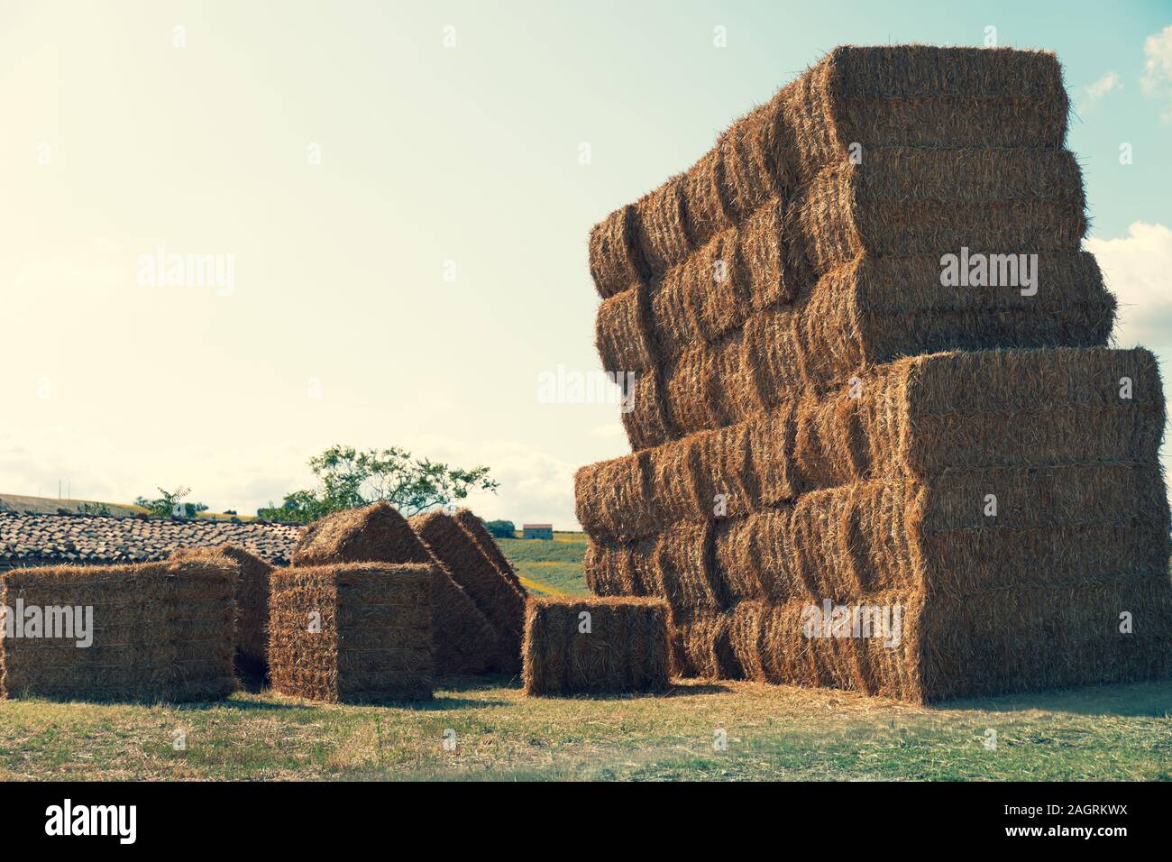 View of stacked hay bales, rural scene Stock Photo - Alamy